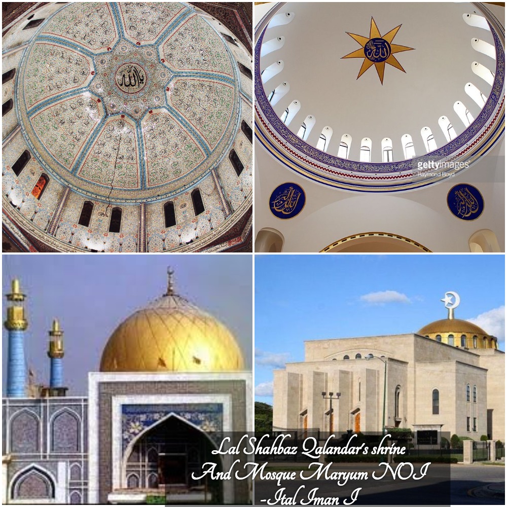 THE LOST TRIBE OF SHABAZZ