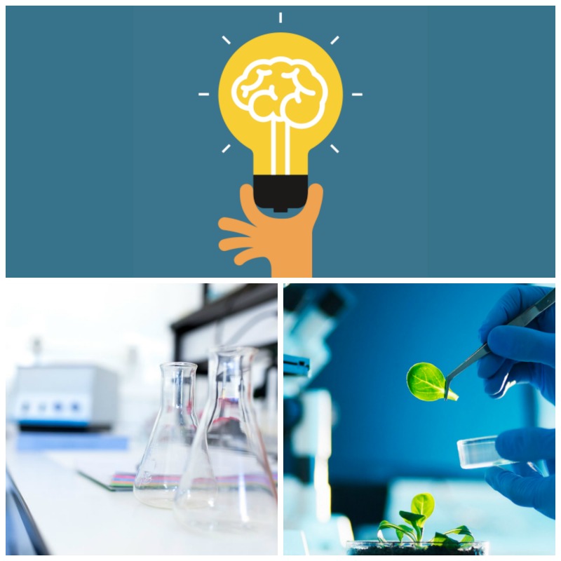 Tipos de Investigación y Diseño de investigación - Metodología, Tipos y ...