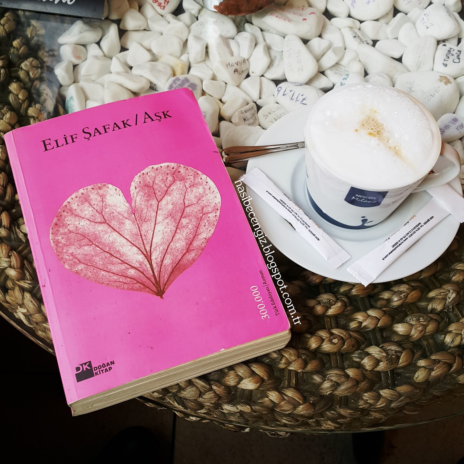 Kitap Elestirisi: Ask : Elif Şafak - Hasibe CENGIZ | Kişisel Blog