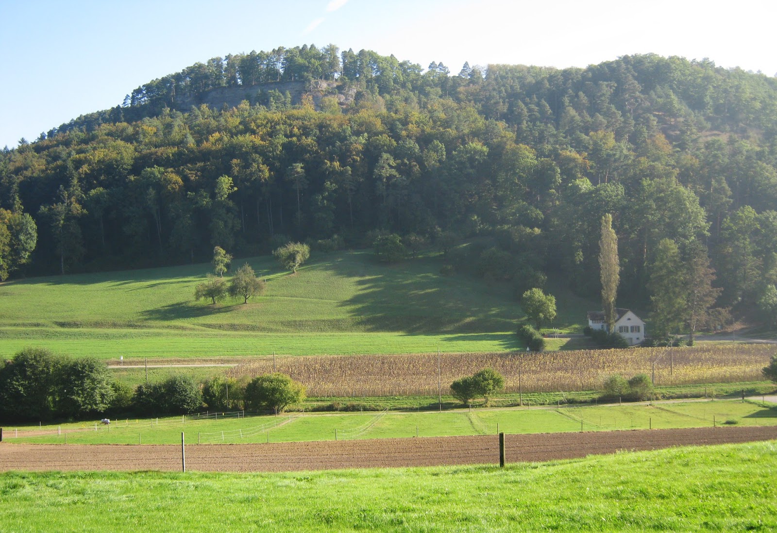 Wanderlust: Kaiserstuhl – Neerach