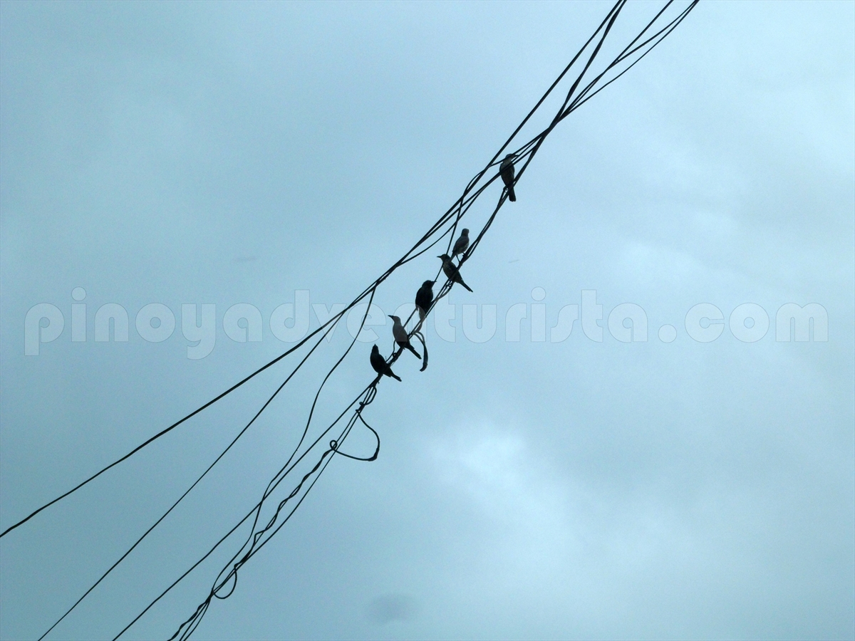 North Cotabato - Strolling around Kidapawan City, "A Spring in the ...