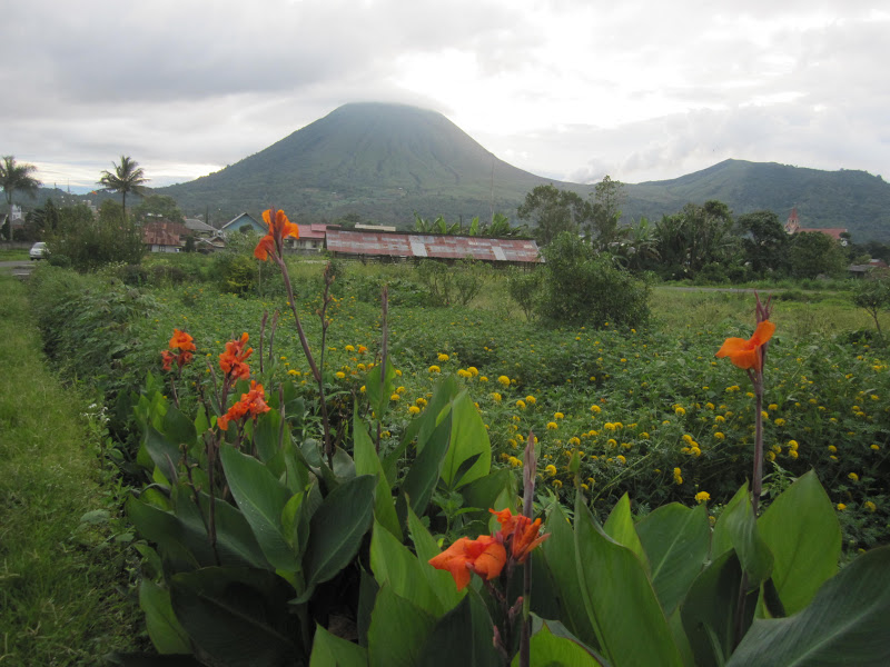 Sulawesi. Tomohon y Gorontalo. Datos útiles para viajes low cost.