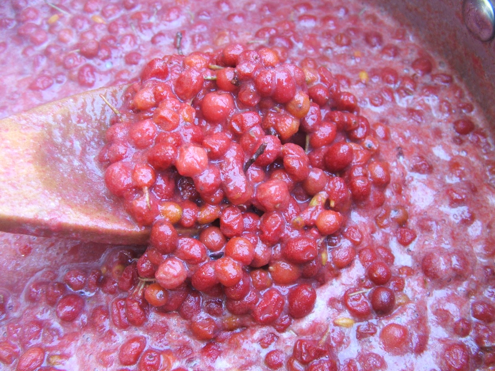 Green Zebra Market Garden: Autumn Olive Jam