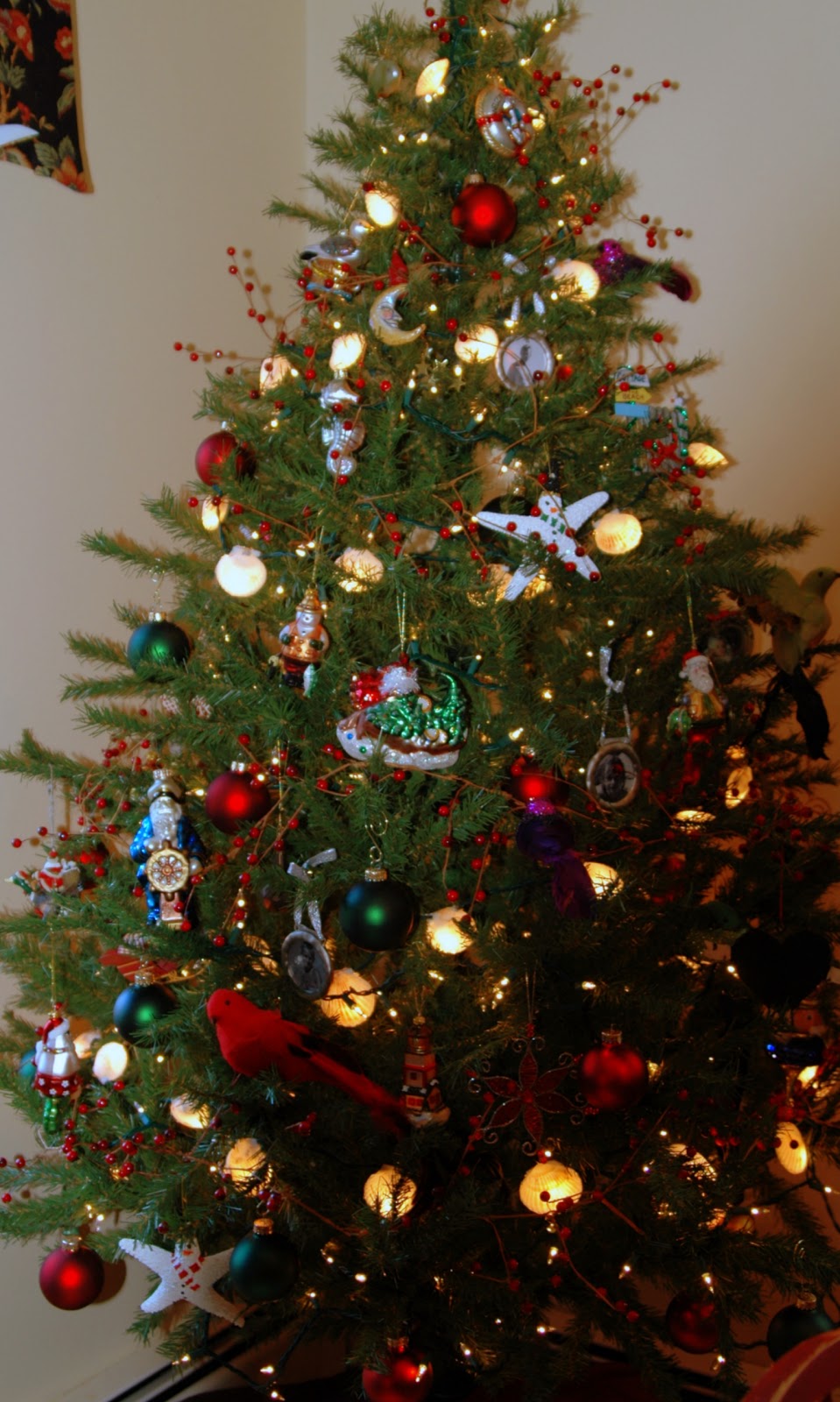 deborah jean's DANDELION HOUSE and GARDEN : A Cape Cod Chrismas Tree