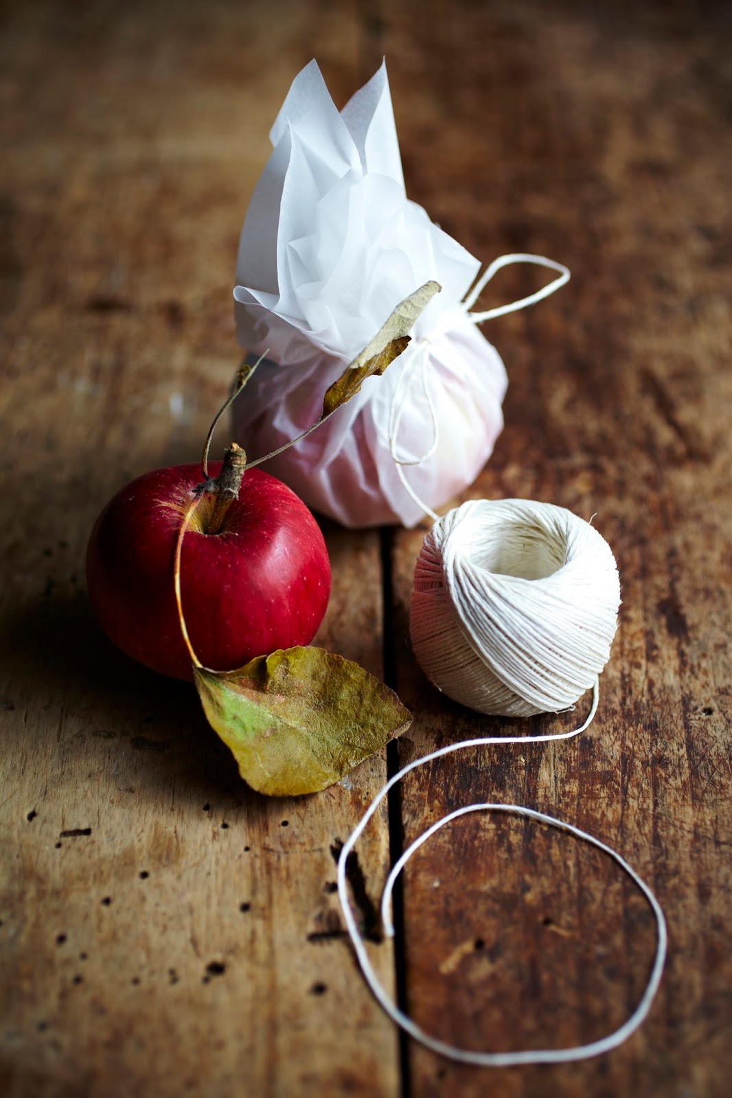 Los Grandes Fotografos: David Loftus (1950)