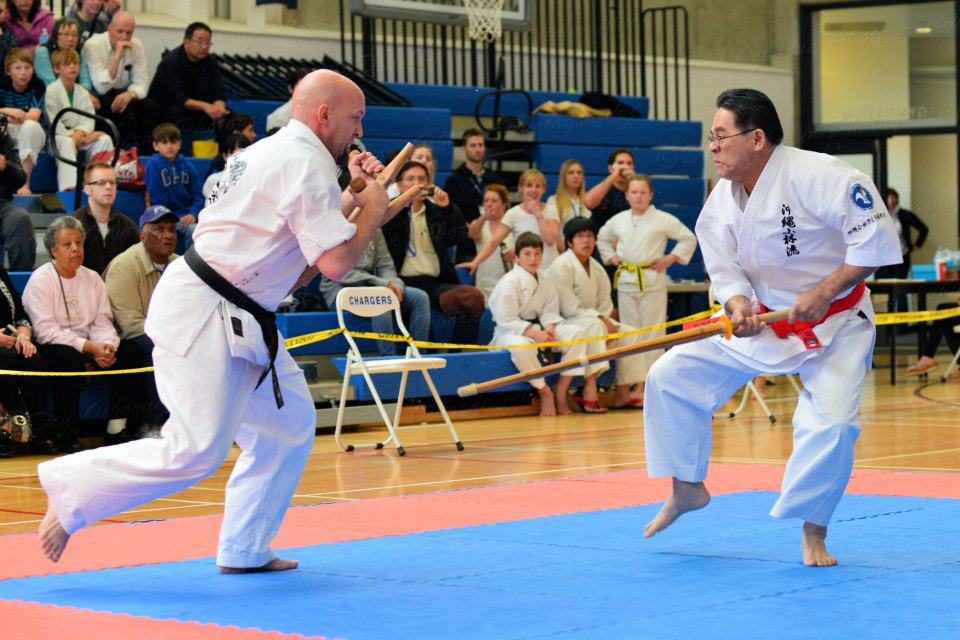 Okinawa Shorinryu Karate Shinkokai and Kobudo Association, India: 2013