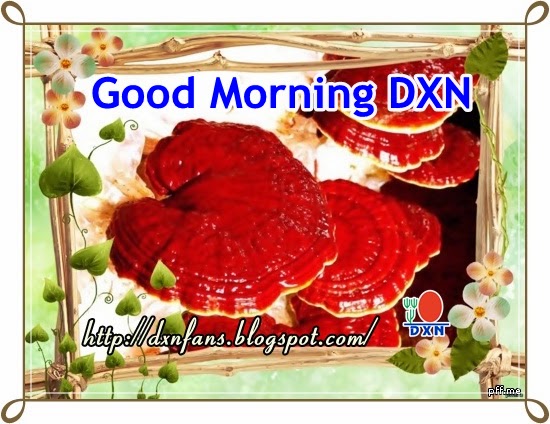 Welcome to the DXN Fans Blog