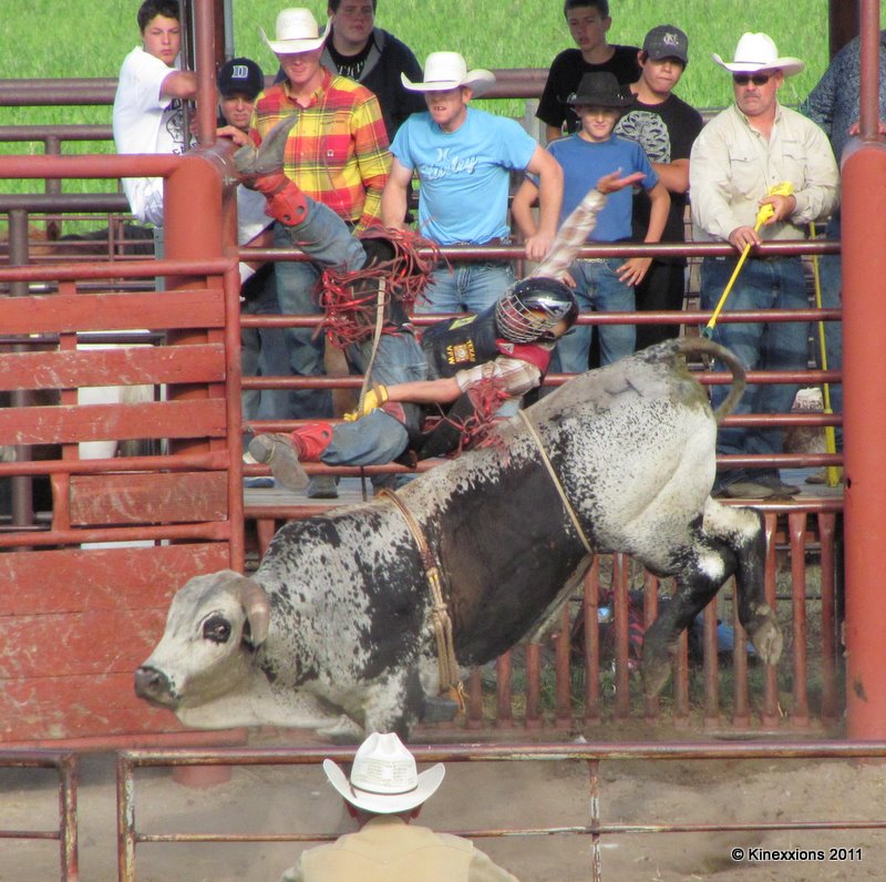 kinexxions: Roe-Dee-Oh :: Bull Riding