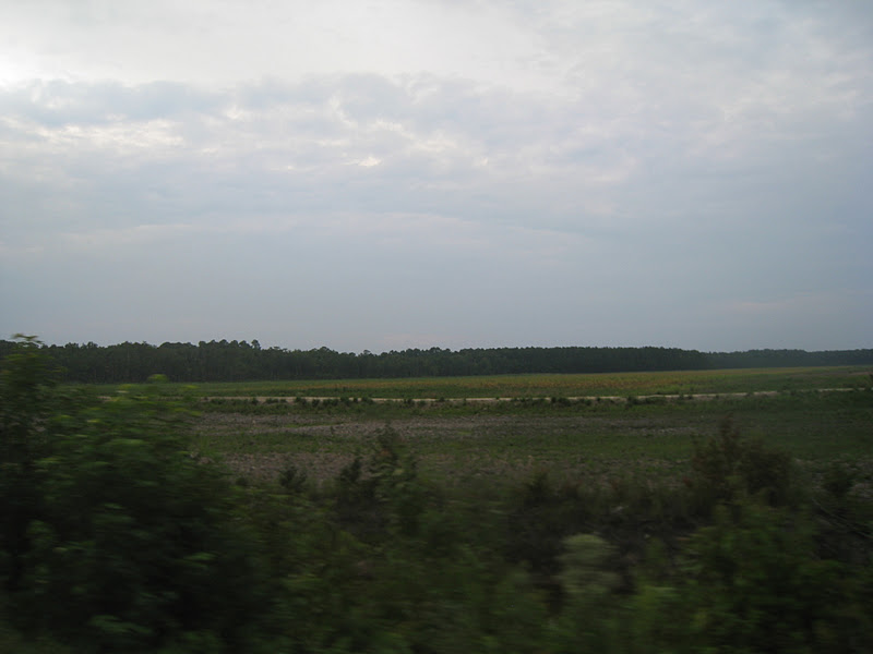 North Carolina Hikes: Alligator River National Wildlife Refuge ...