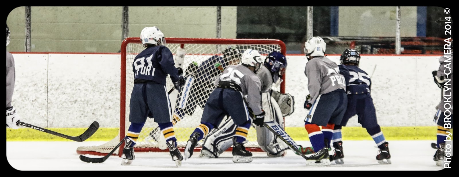 BROOKLYN-CAMERA 2014: LITTLE GUYS AT THE WASP Vs. BOLDEST HOCKEY GAME ...