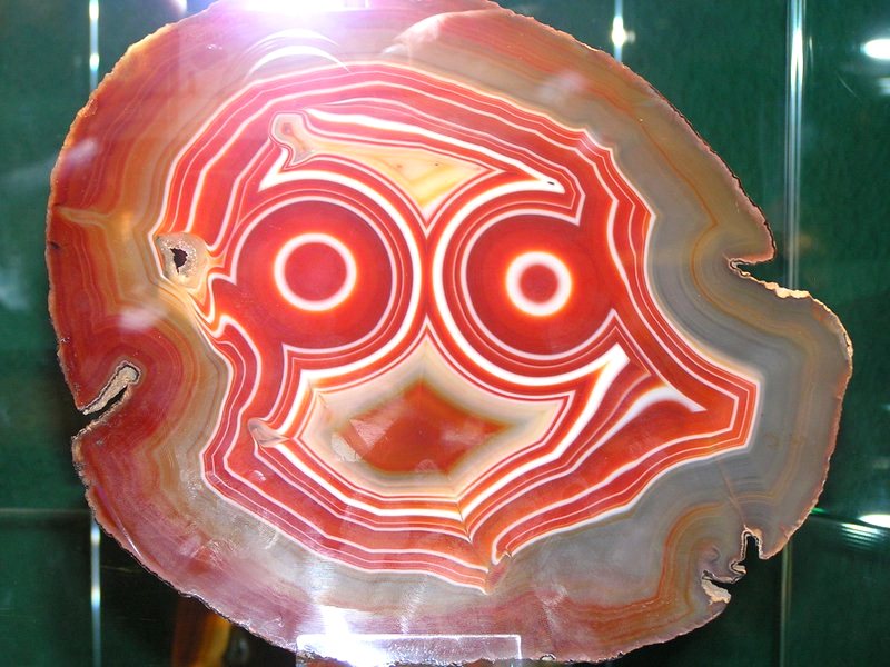 Funny Weird Agate Specimens You Should See - Geology In