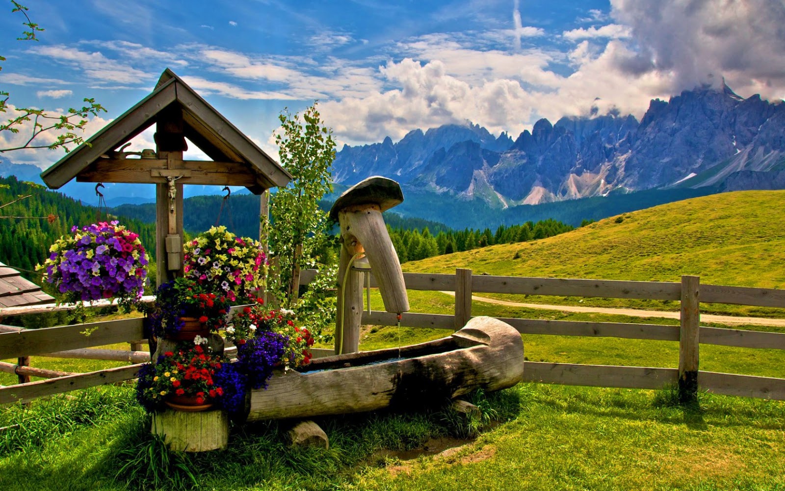 Imagini de Primavara ~ Imagini Desktop