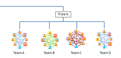 CasCas - leren en veranderen op het werk: Agile Tribe leader is the ...
