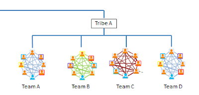 CasCas - leren en veranderen op het werk: Agile Tribe leader is the ...