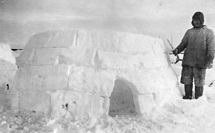 Rescue EMT 3: Human adaptation to cold