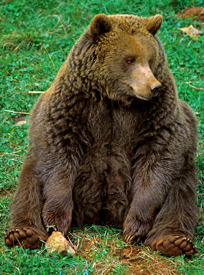 Parque Nacional Natural Yaigojé Apaporis
