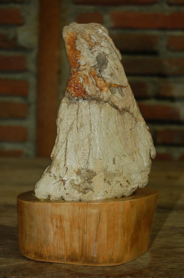 Museum Fosil Kayu Indonesia: FOSIL KAYU "UKURAN KECIL"