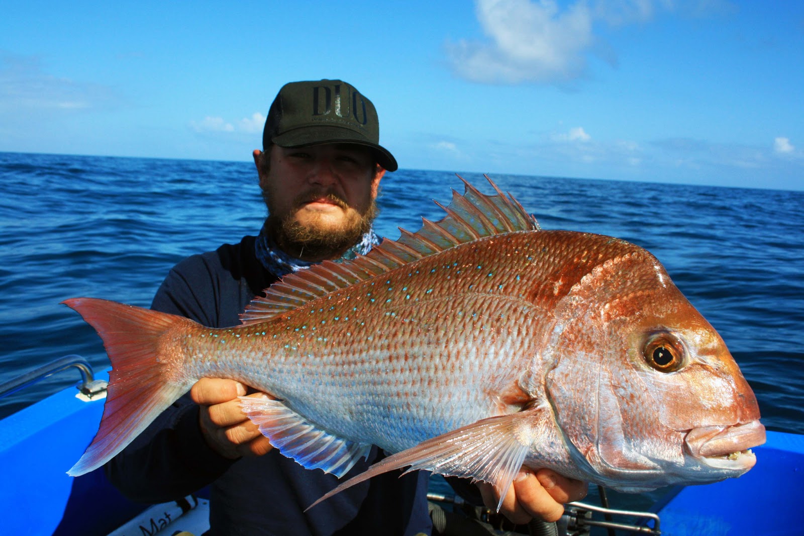 The Fish Cure: July 2013