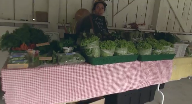 North Coast Review: Haida Gwaii food producers set to debut "Produced ...