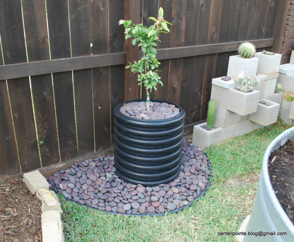 Centerpointe Communicator: Culvert planters, Part 3: Herb garden