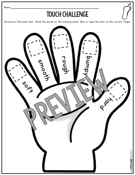 Emily Jane Creates: FIVE SENSES BUNDLE