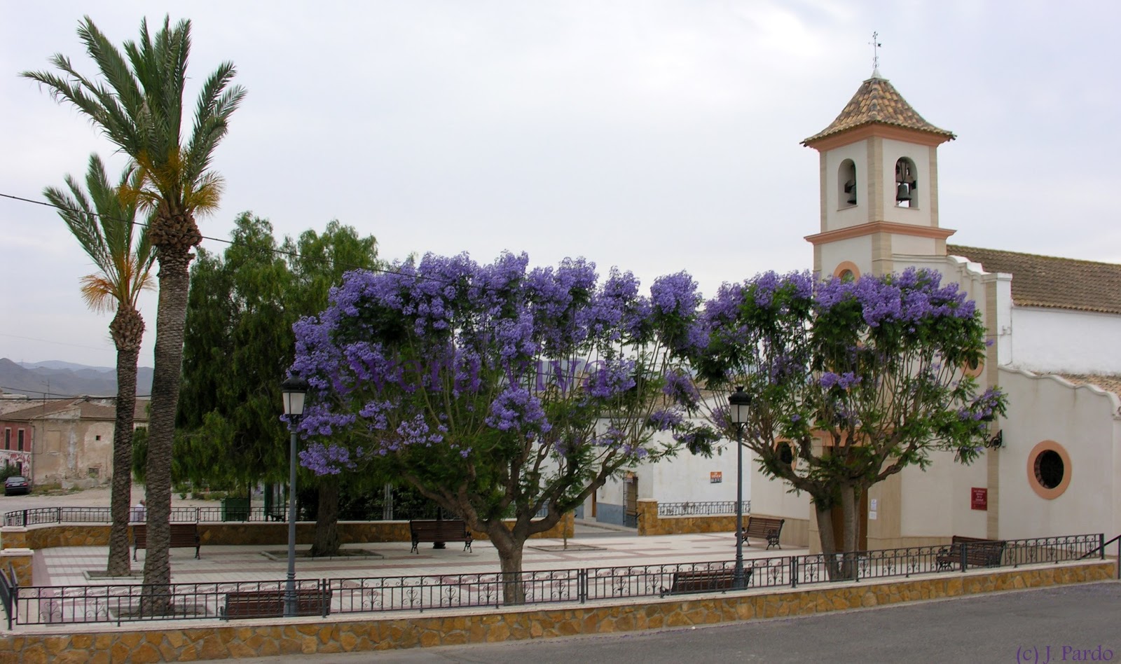 Overa Viva: CON OVERA EN EL CORAZÓN 8. Por María del Mar Perales Gallego.