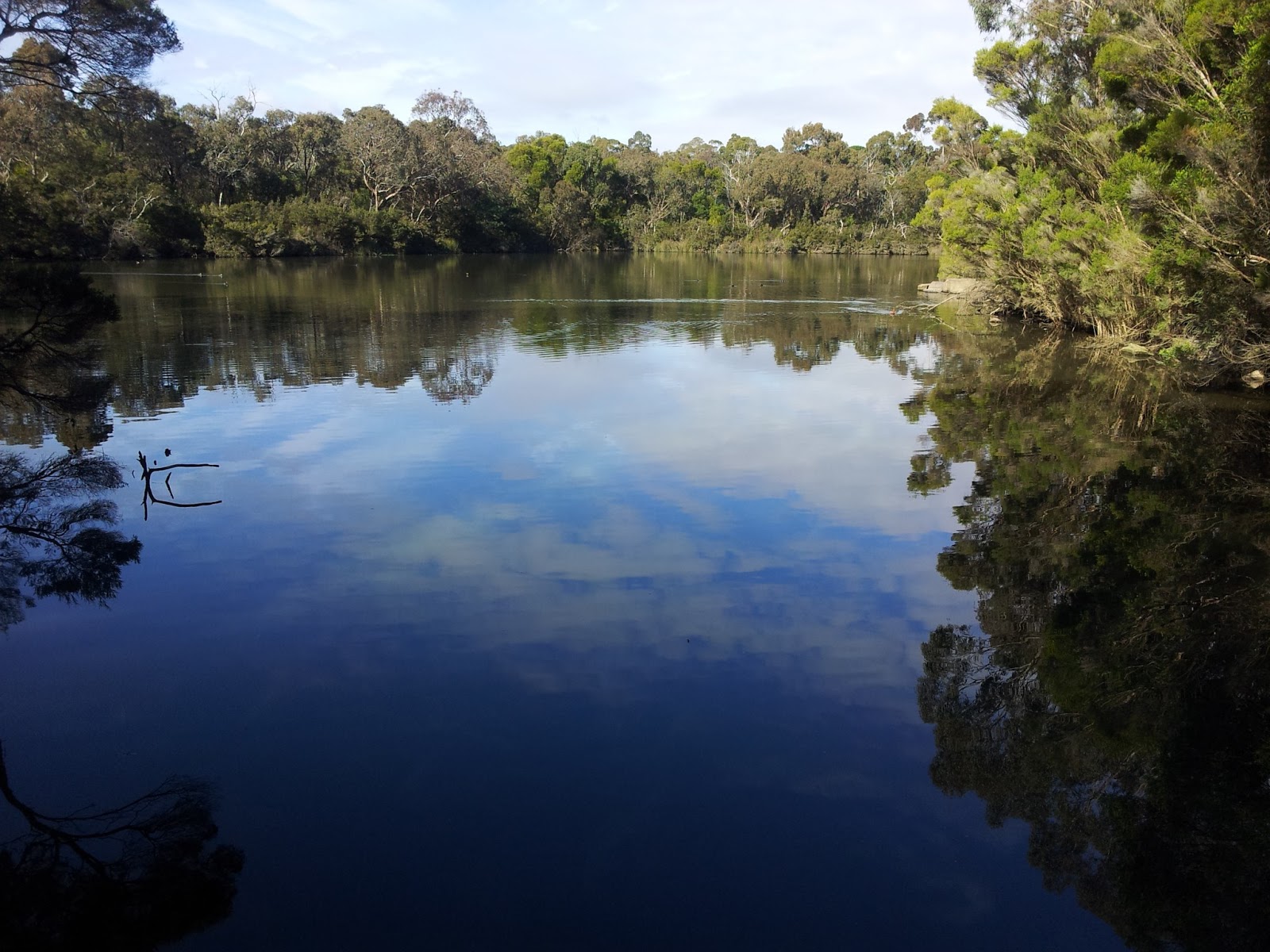 Melbourne Fun Walks: Blackburn Lake, Blackburn