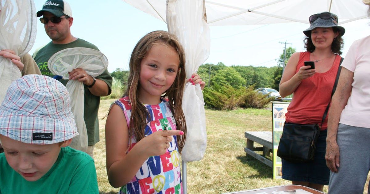 Dragonfly Dazed: Annual Dragonfly Day for Families and Nature Lovers