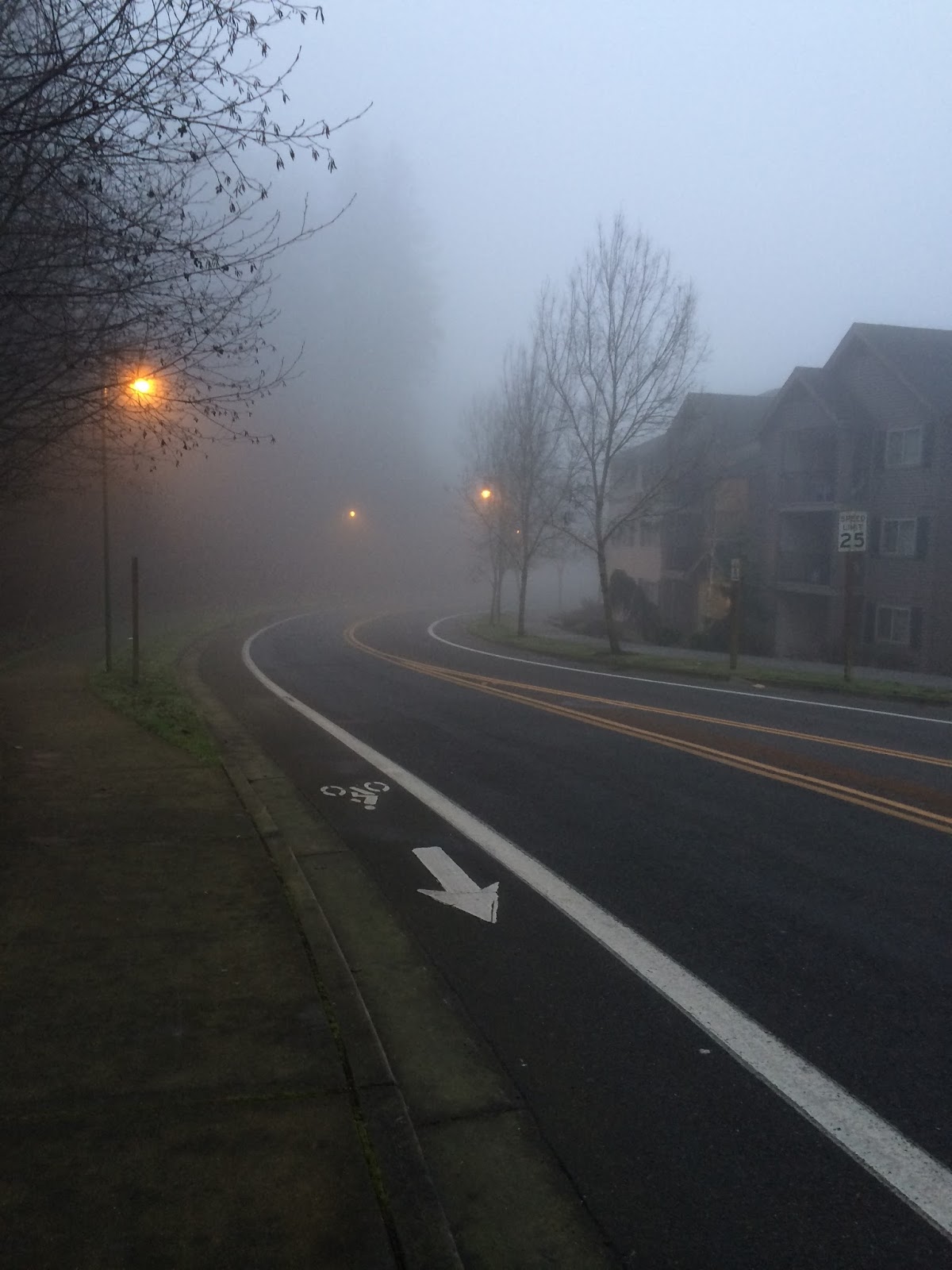 Humble to Everett: Onward into the Fog