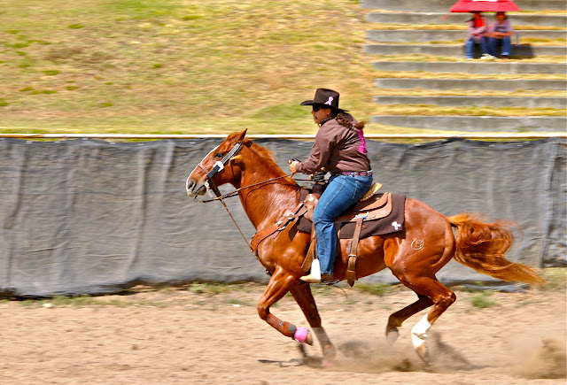 The Dragon's Eye: All Girl Rodeo at the Kualoa Ranch Ohana Country Fair