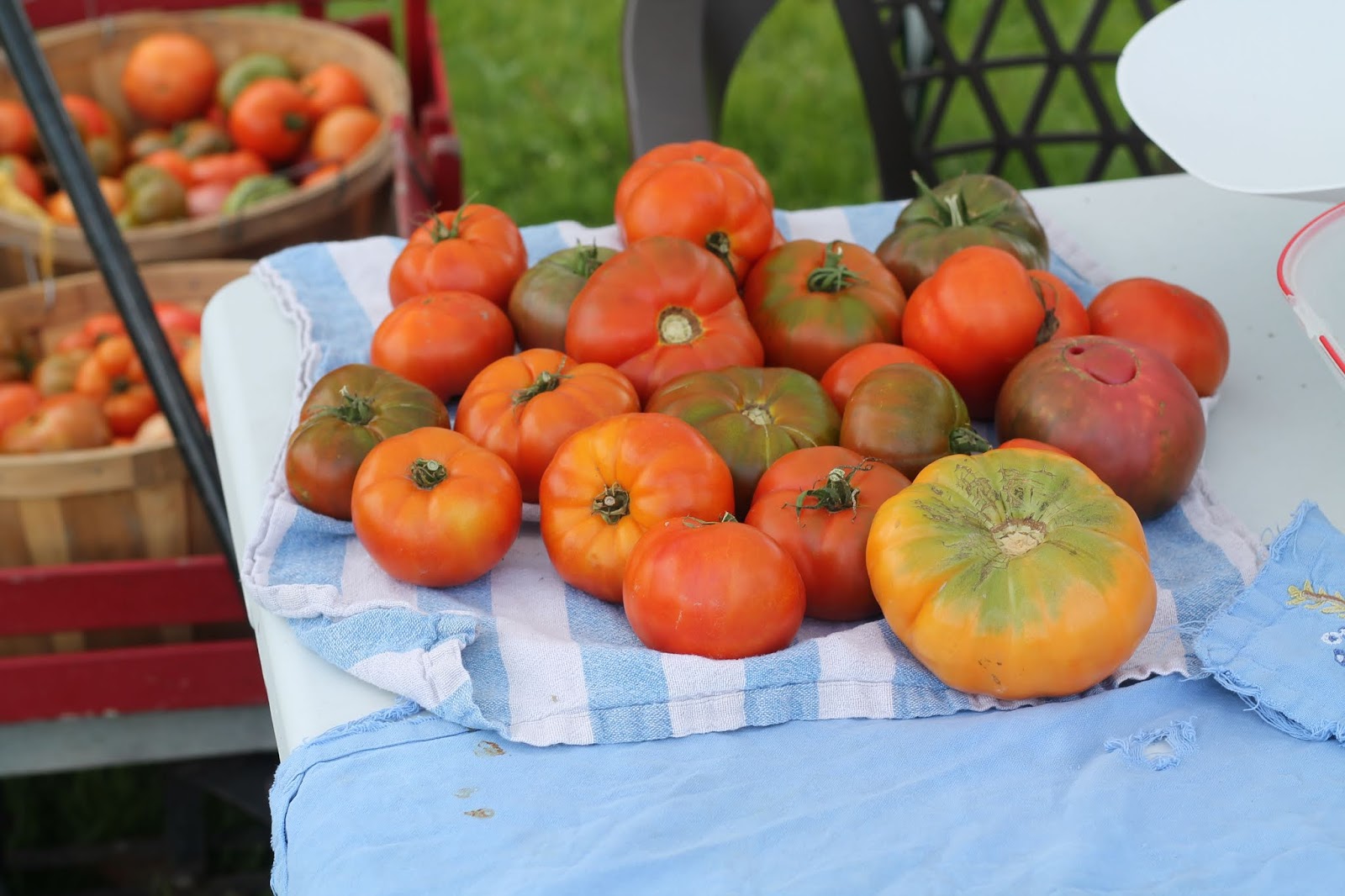 A blog for my mom: 30/52: Lemonade Farm Stand