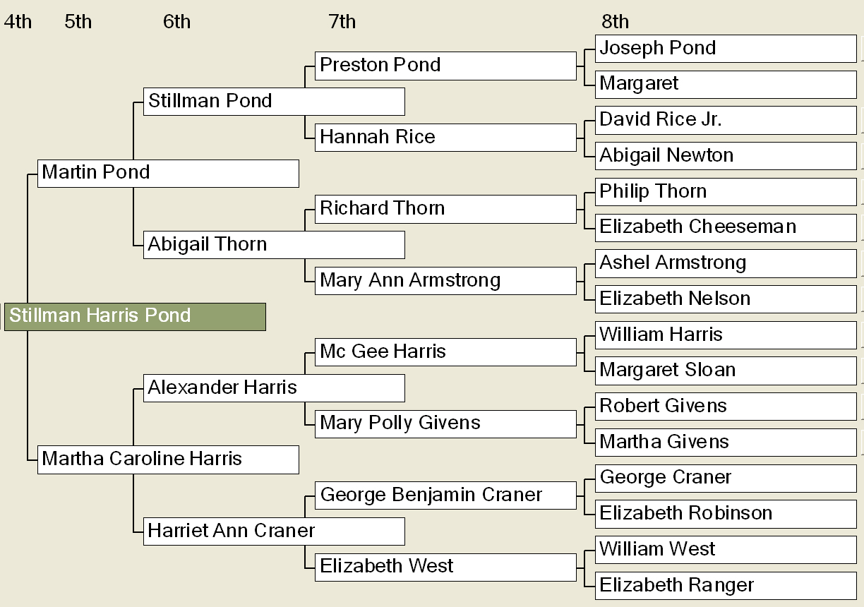 Roots and Branches: Pedigree Charts
