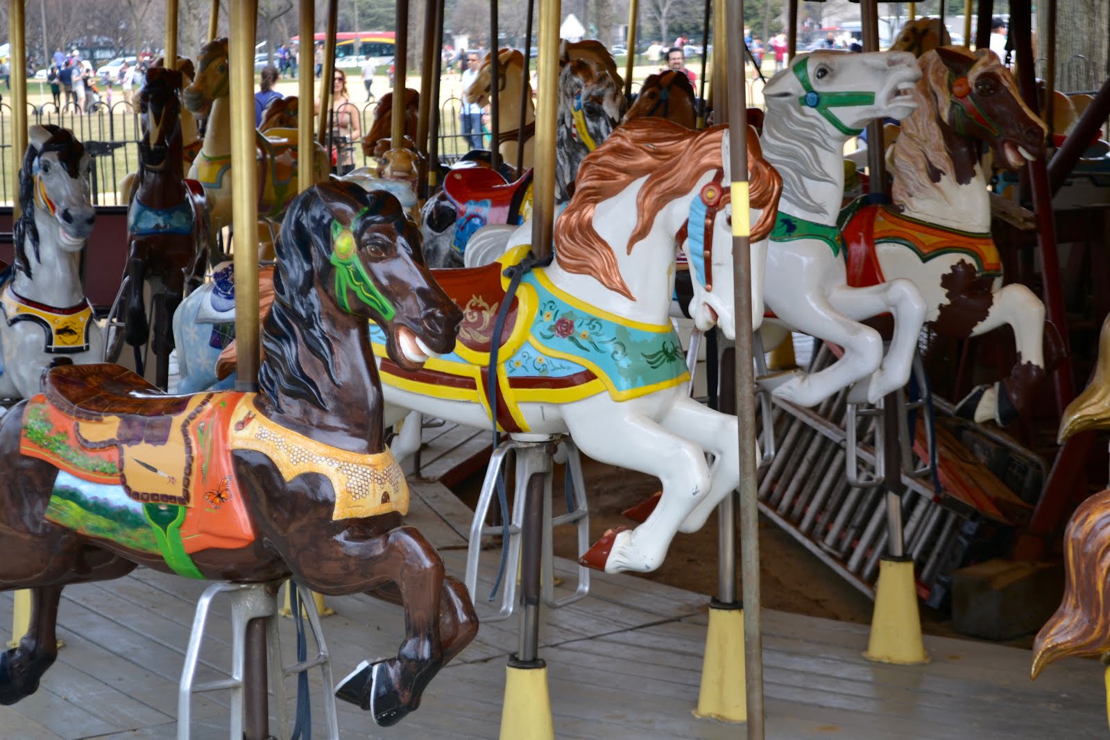 It's All About Purple: Carousel on the Mall