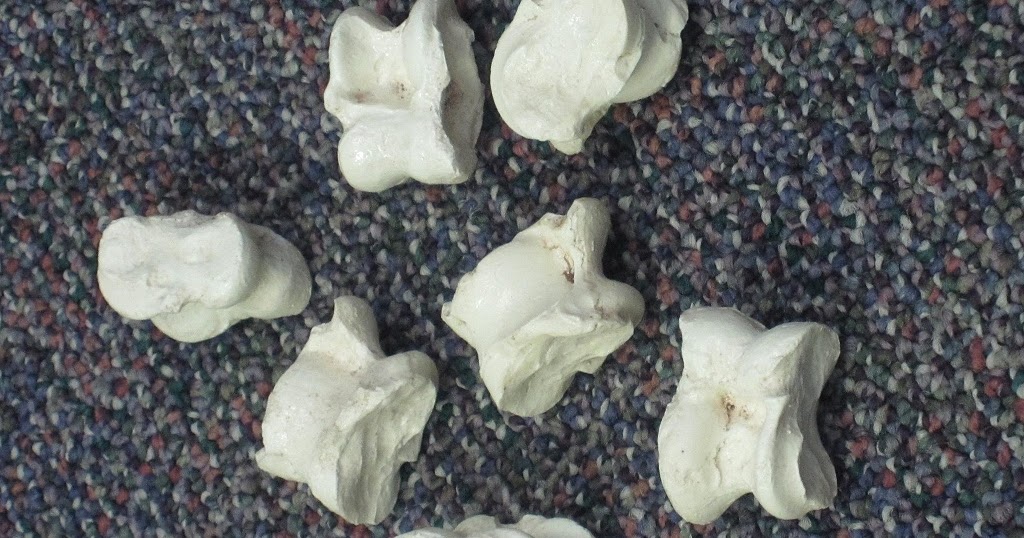 "Knuckle-bones" nghĩa là gì?