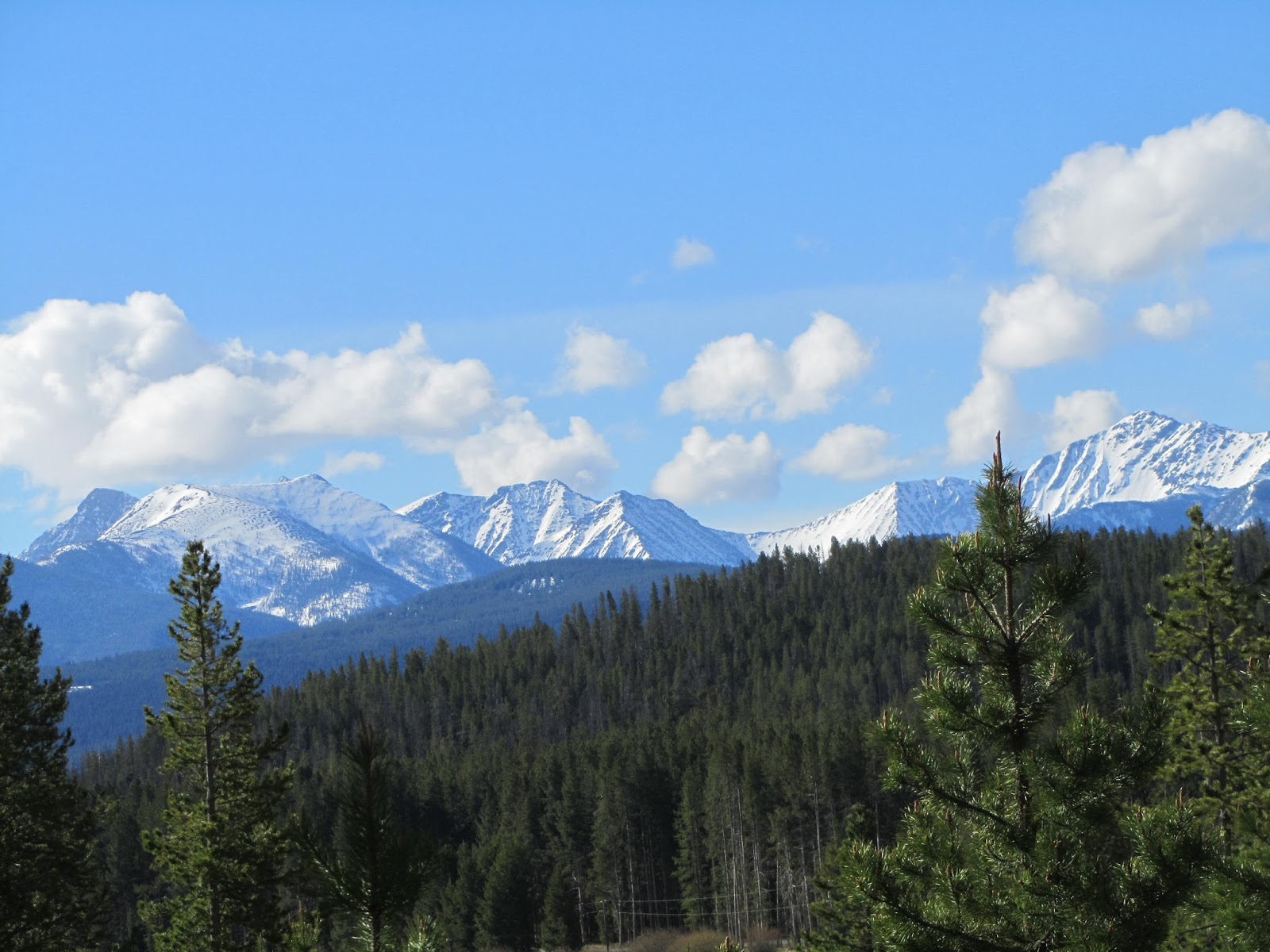 Tomcat's Outdoor Adventures: Anaconda-Pintler Wilderness Climb: Little ...