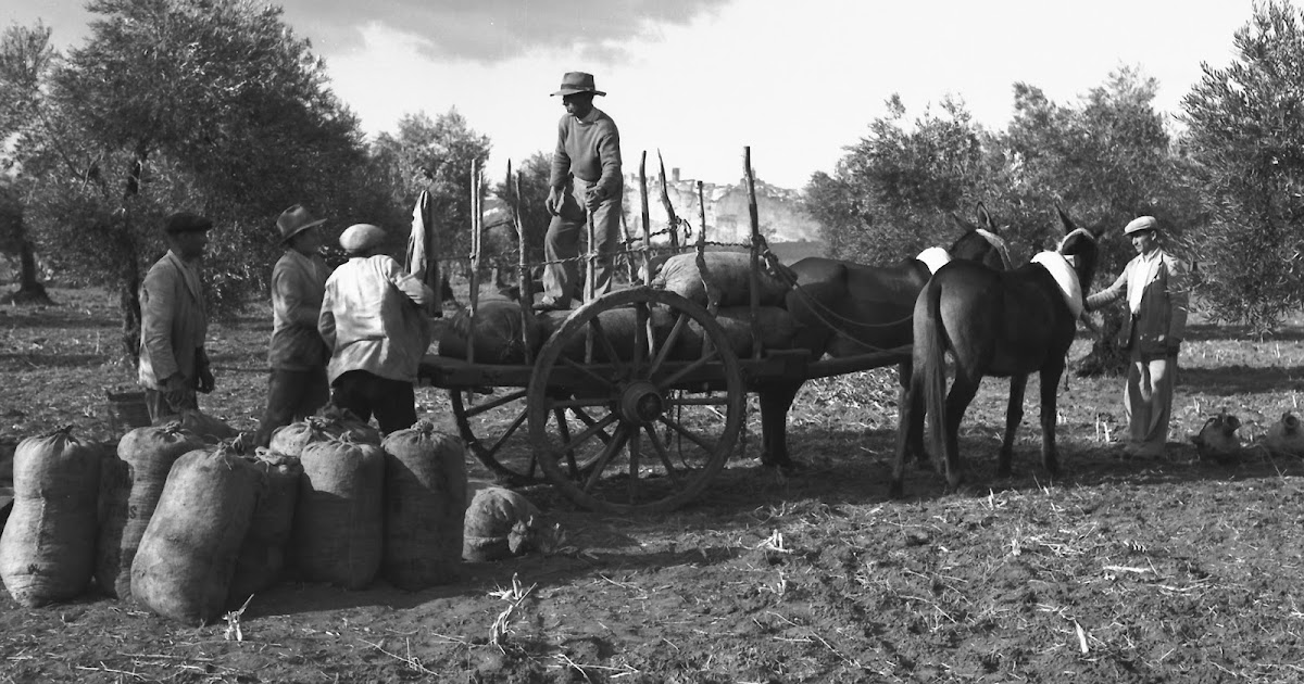 ARCOS DE LA FRONTERA EN EL RECUERDO: LA CRISIS AGRARIA. (1905)
