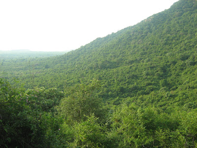 VaaLoo: Awesome Thimbam Ghat Hills Road-Tamil Nadu