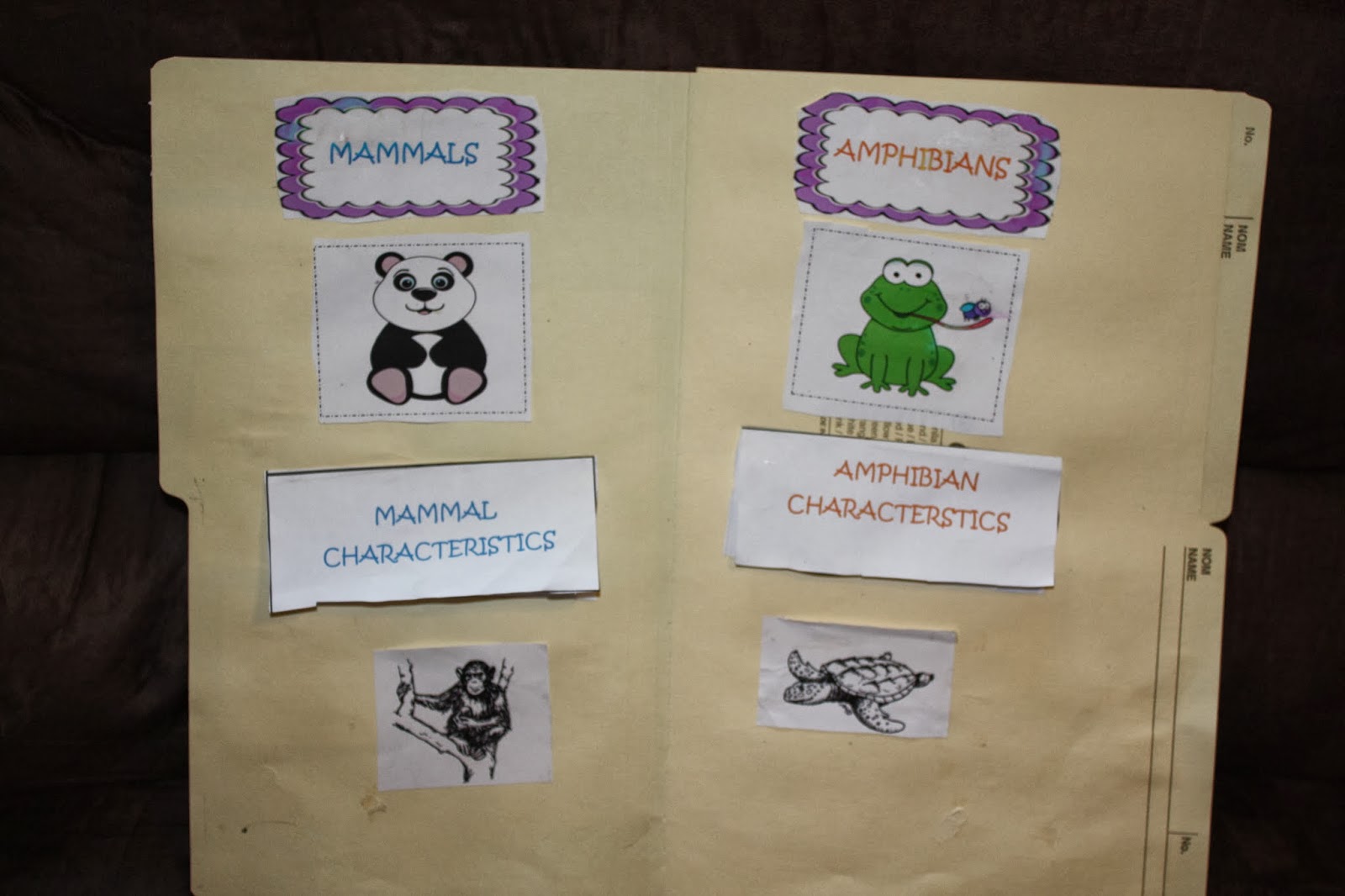 Annie's Adventures In Homeschooling!: Animal Classification/Notebooking ...
