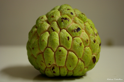 Ata - Annona squamosa L. | Natureza Bela