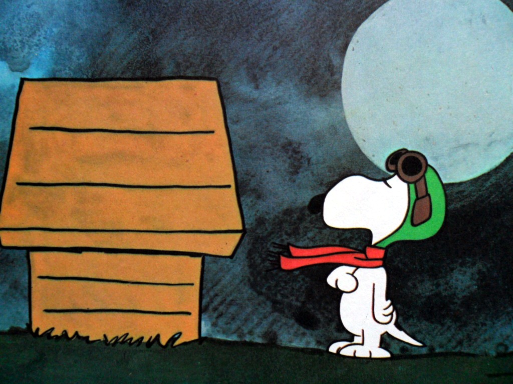 The Skull & Pumpkin: Back to basics.