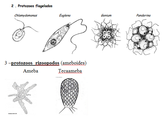 LaboratorioColegio751Trelew