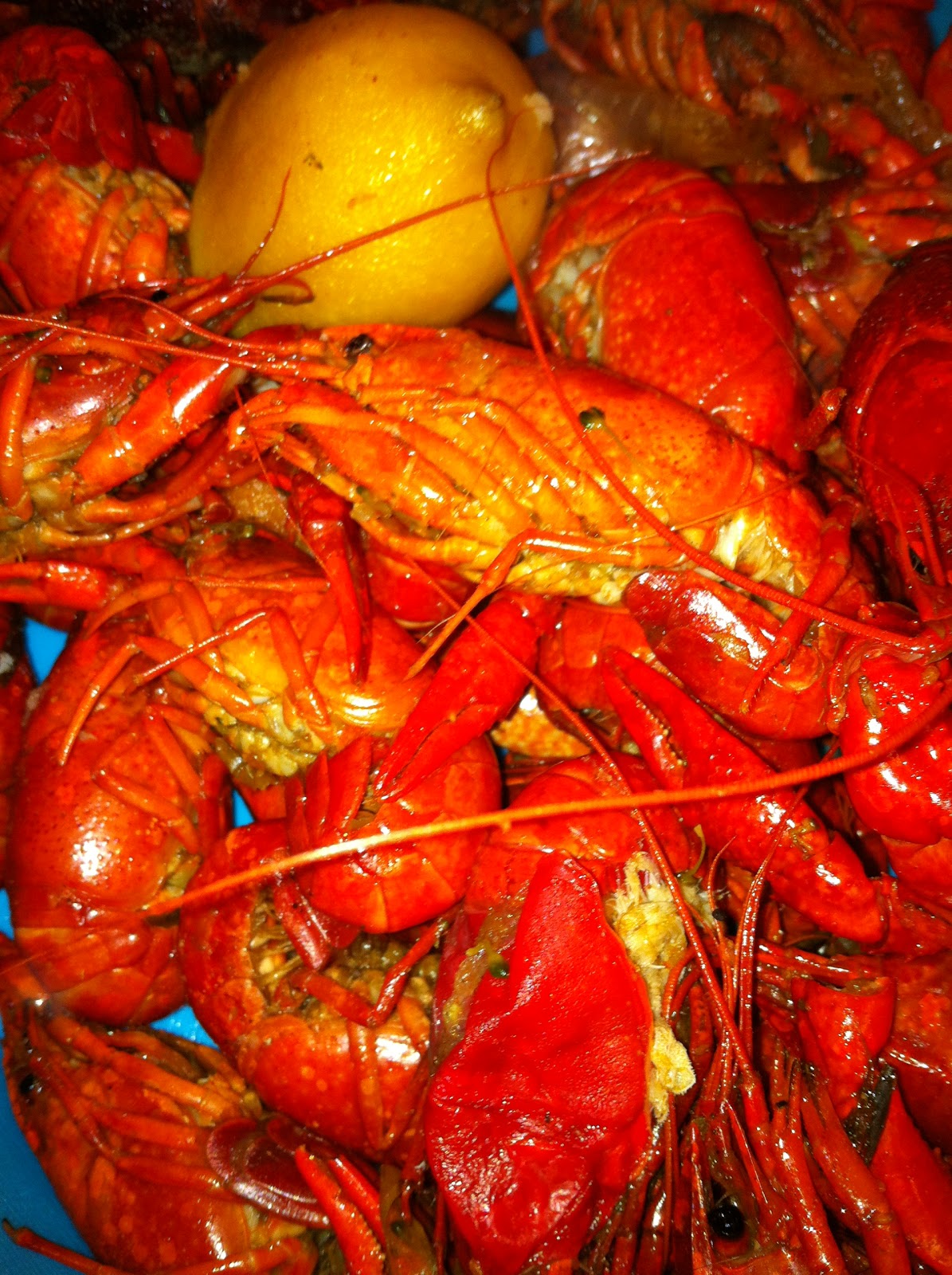 The Uptown Acorn: Crawfish is King