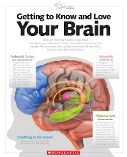 Ms. M.'s Classroom Blog: Mistakes Make Your Brain Grow!