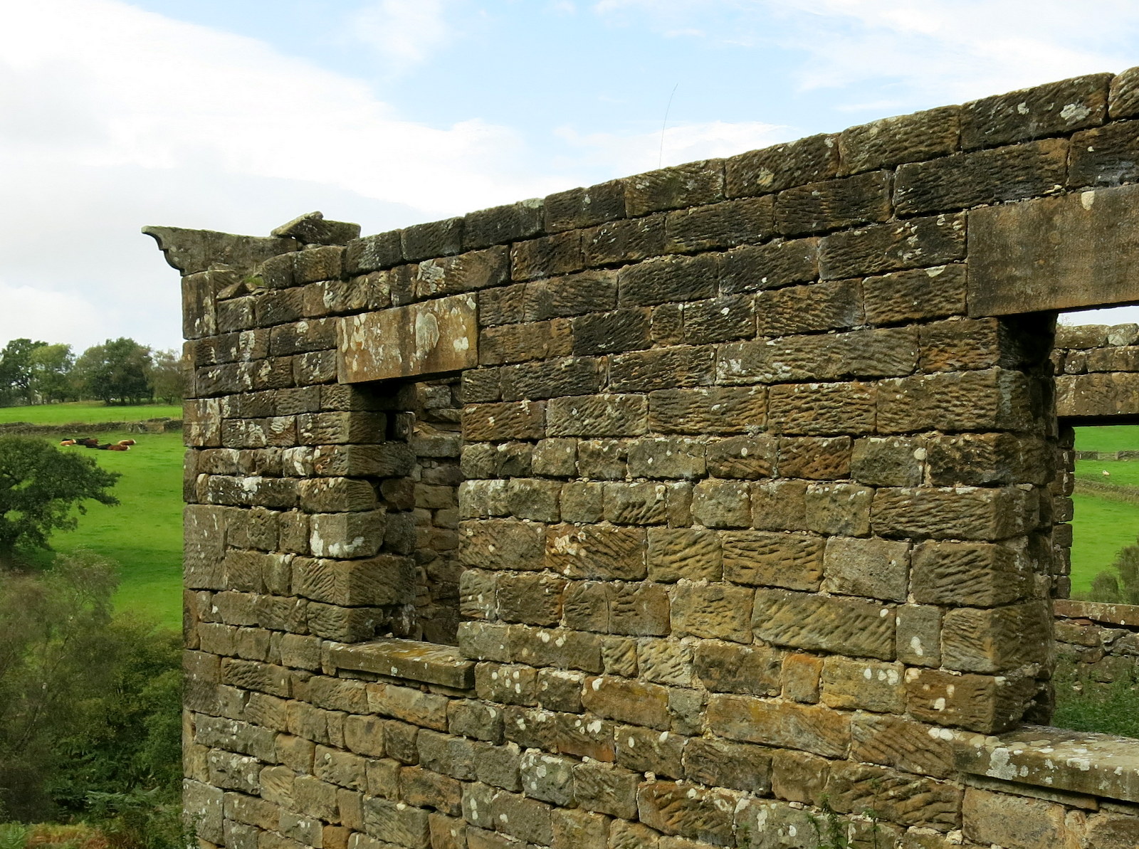 Walking in North Yorkshire
