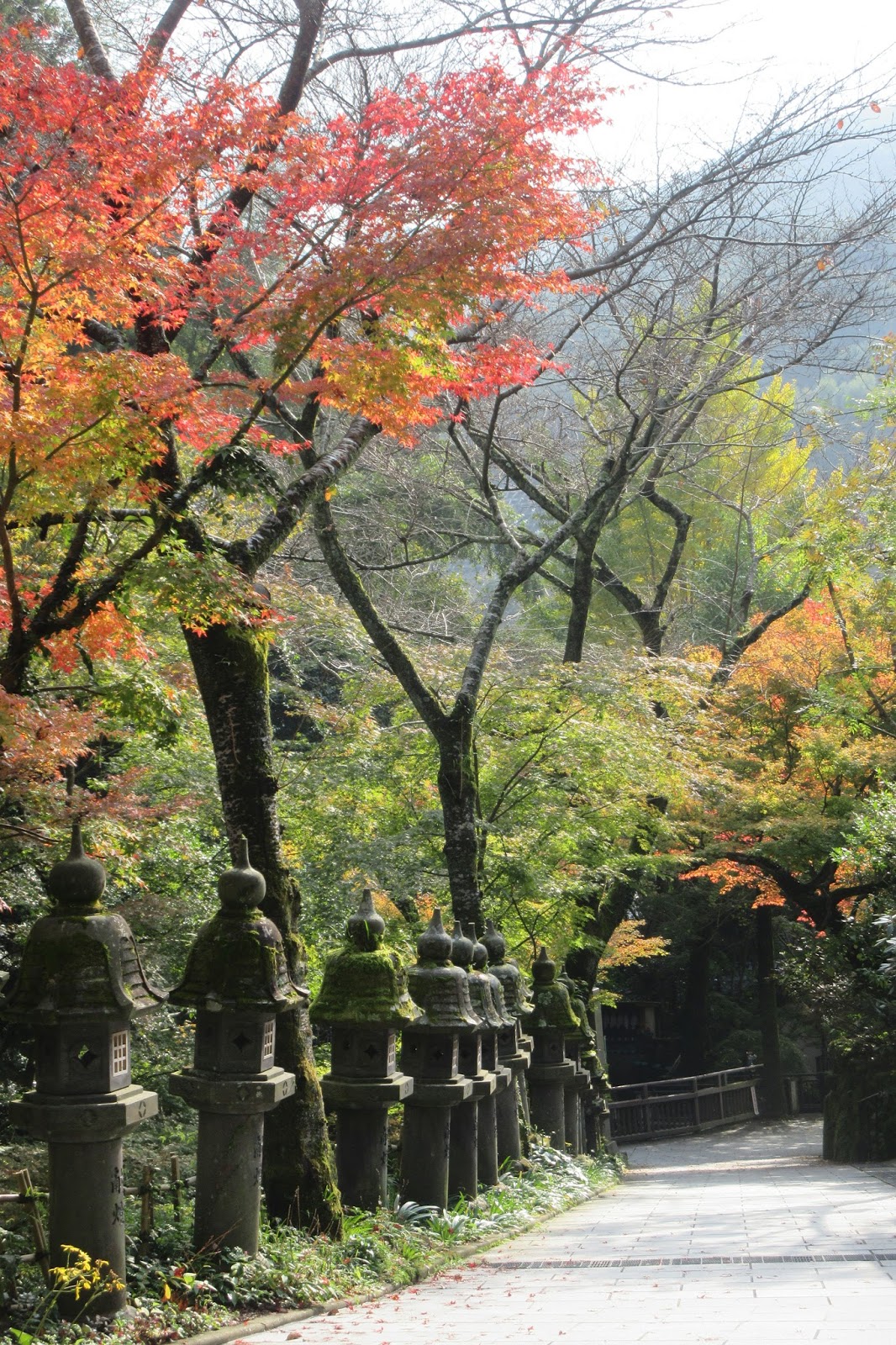 Finding Zen at Nanzoin Temple - The Wandering Juan