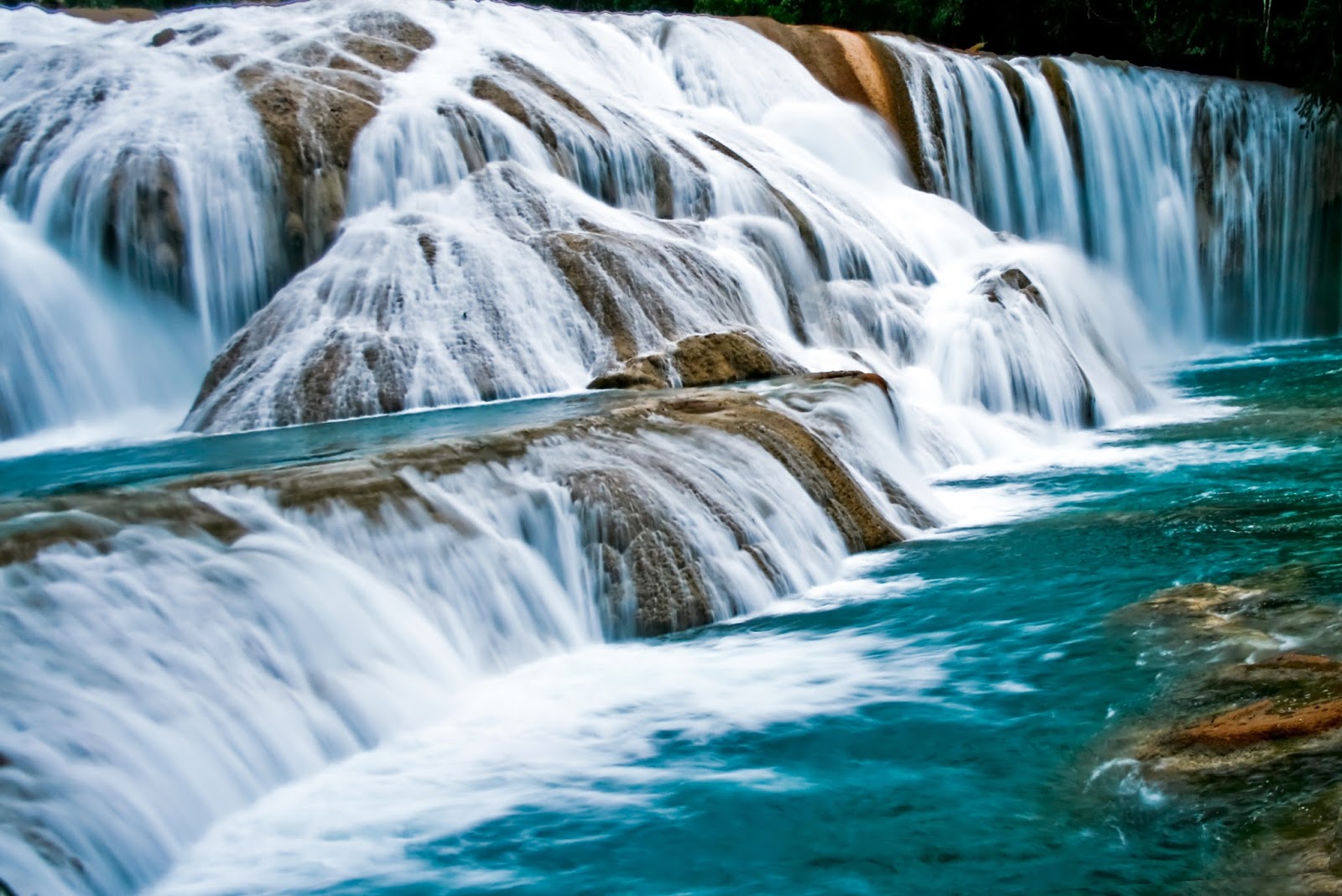 Cascadas de agua azul chiapas - Imagui