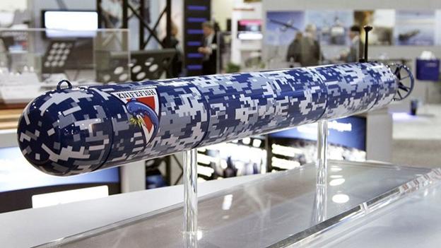 Orla Viva Maranhão: Navy's Marine Mammal Program: E quando a melhor ...