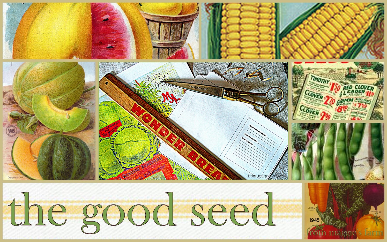 Notes from Maggie's Farm: the good seed