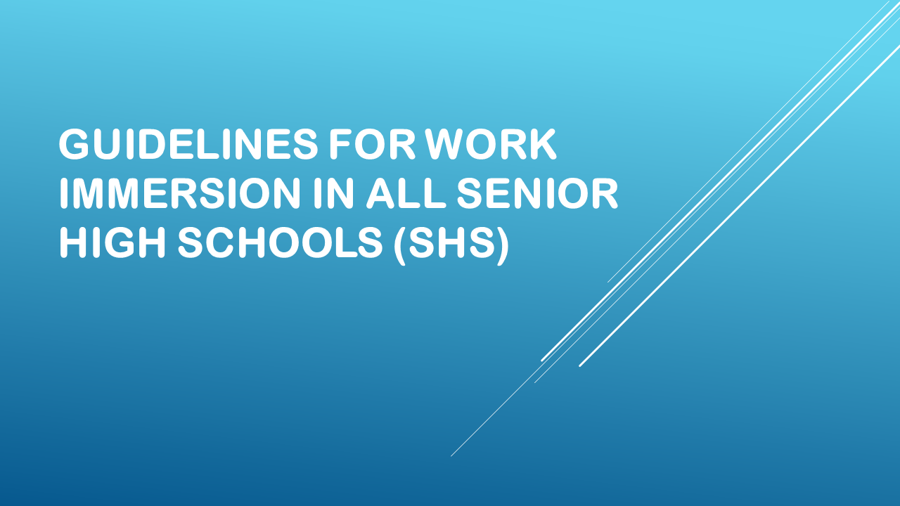 DO 30 S 2017 Guidelines For Work Immersion DO 30 S 2017 Guidelines For Work Immersion