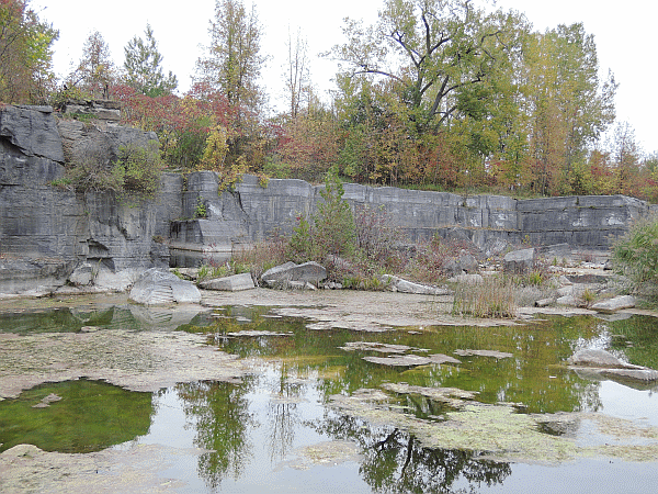 Chazy Reef - Part II ~ Hudson Valley Geologist